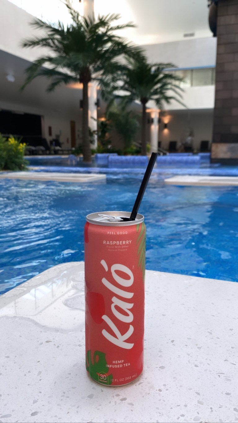 BALIAN SPRINGS: AN OASIS OF CALM IN THE DMV – The Artful Epicure